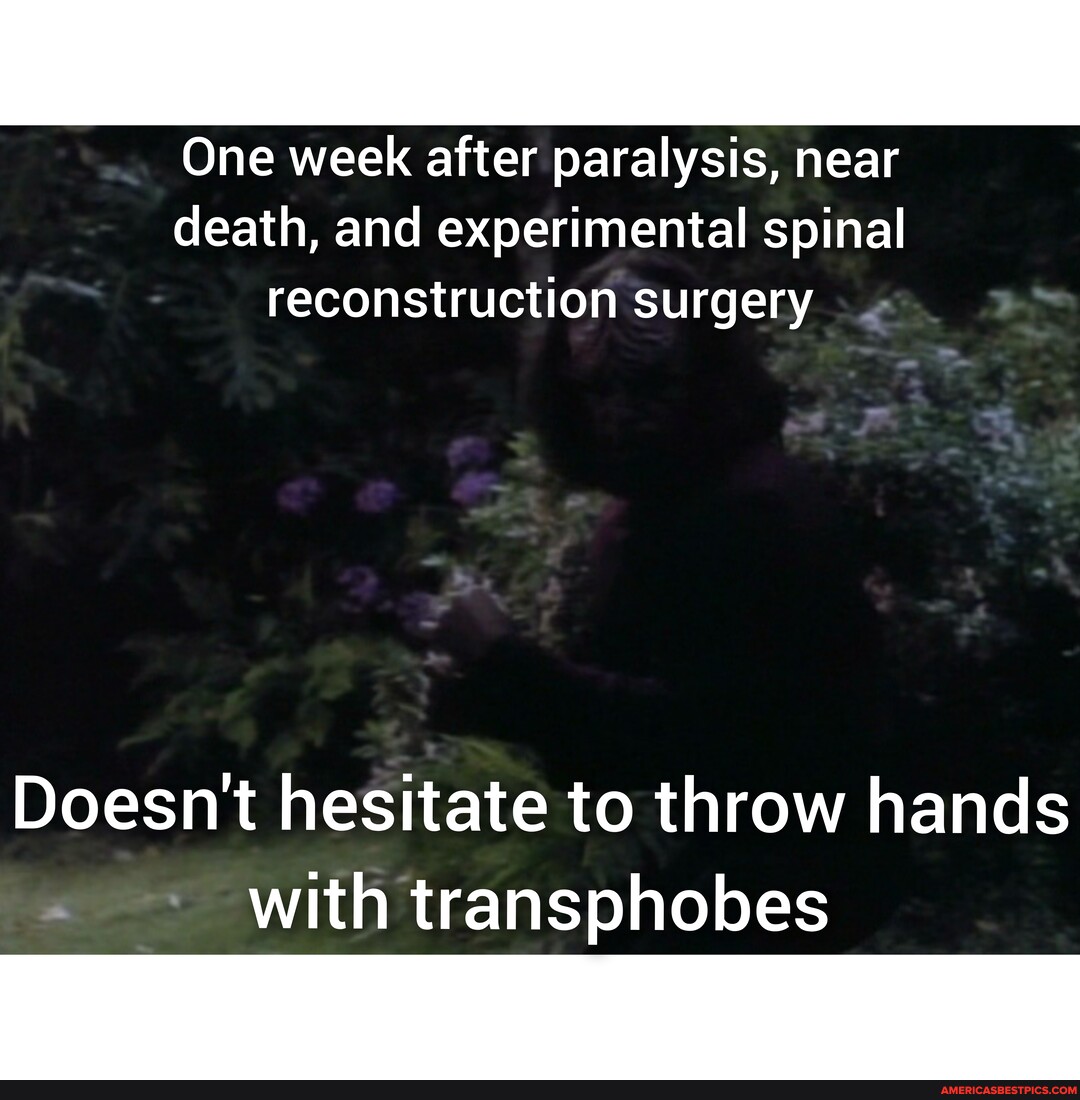 One week after paralysis, near death, and experimental spinal ...