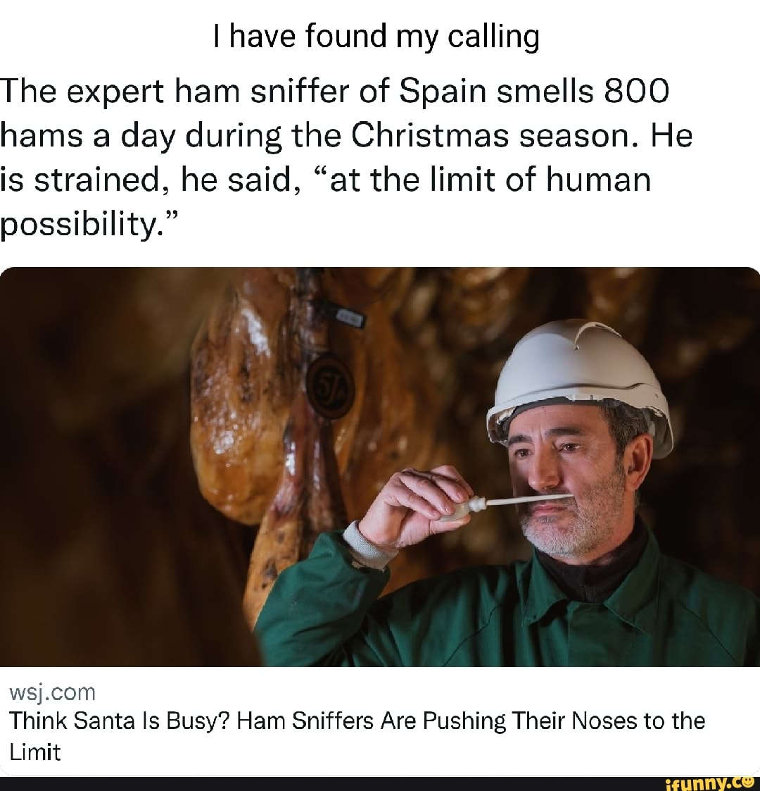 Hams memes. Best Collection of funny Hams pictures on iFunny