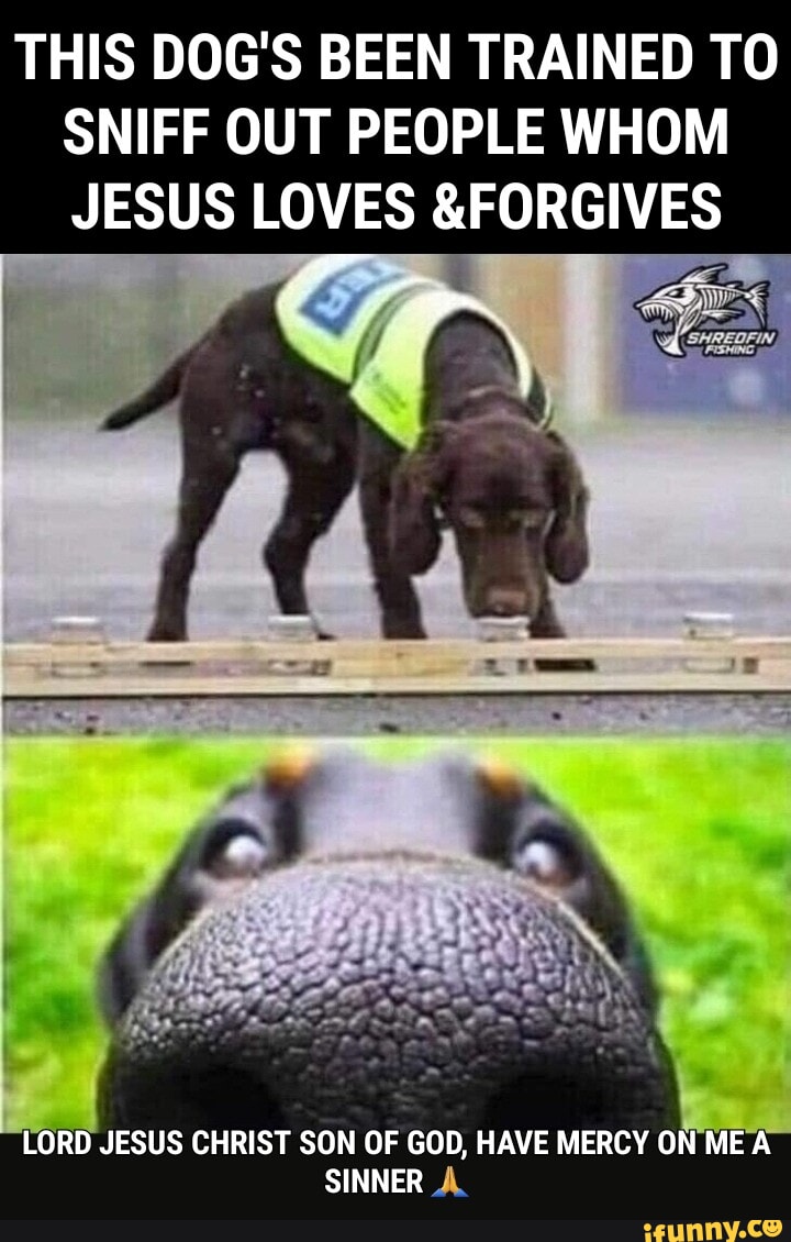 DWAYNE FREEMAN: First person to yell "ooooh, this is my JAM!" when his ...