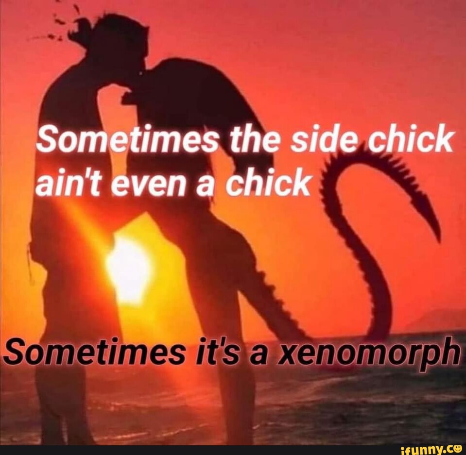 OF SHOW ME THE REAL POWDER SAID THE REAL POWDER - iFunny