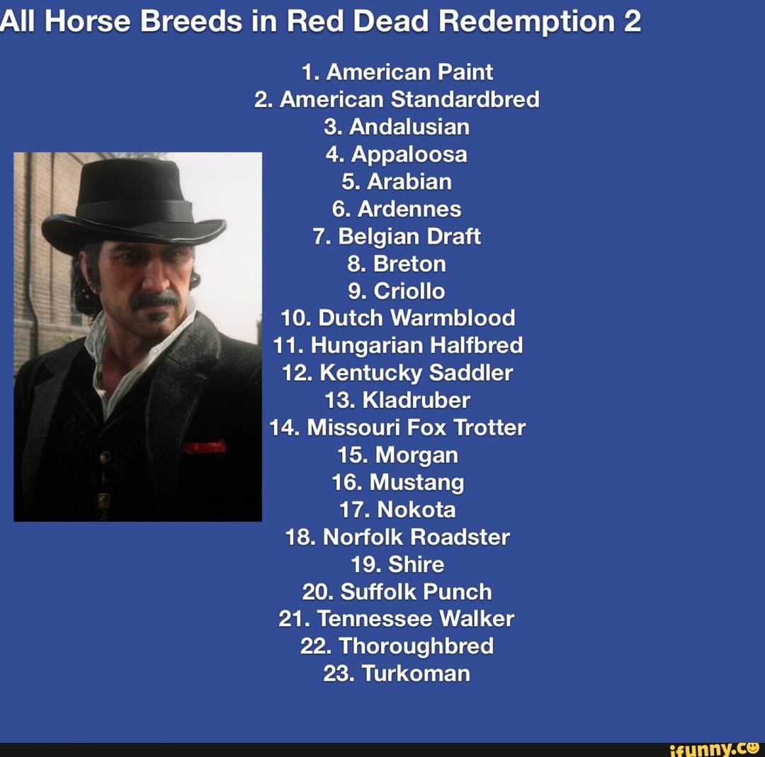 All Horse Breeds in Red Dead Redemption 2 I E Y 1. American Paint 2 ...