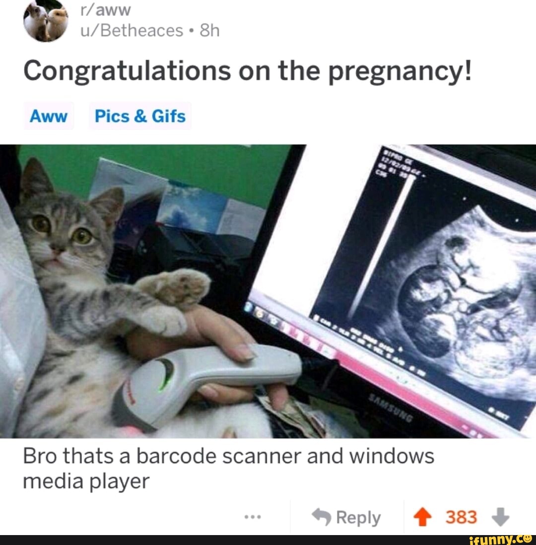 Congratulations on the pregnancy! Aww Pies& Gifs Bro thats a barcode ...