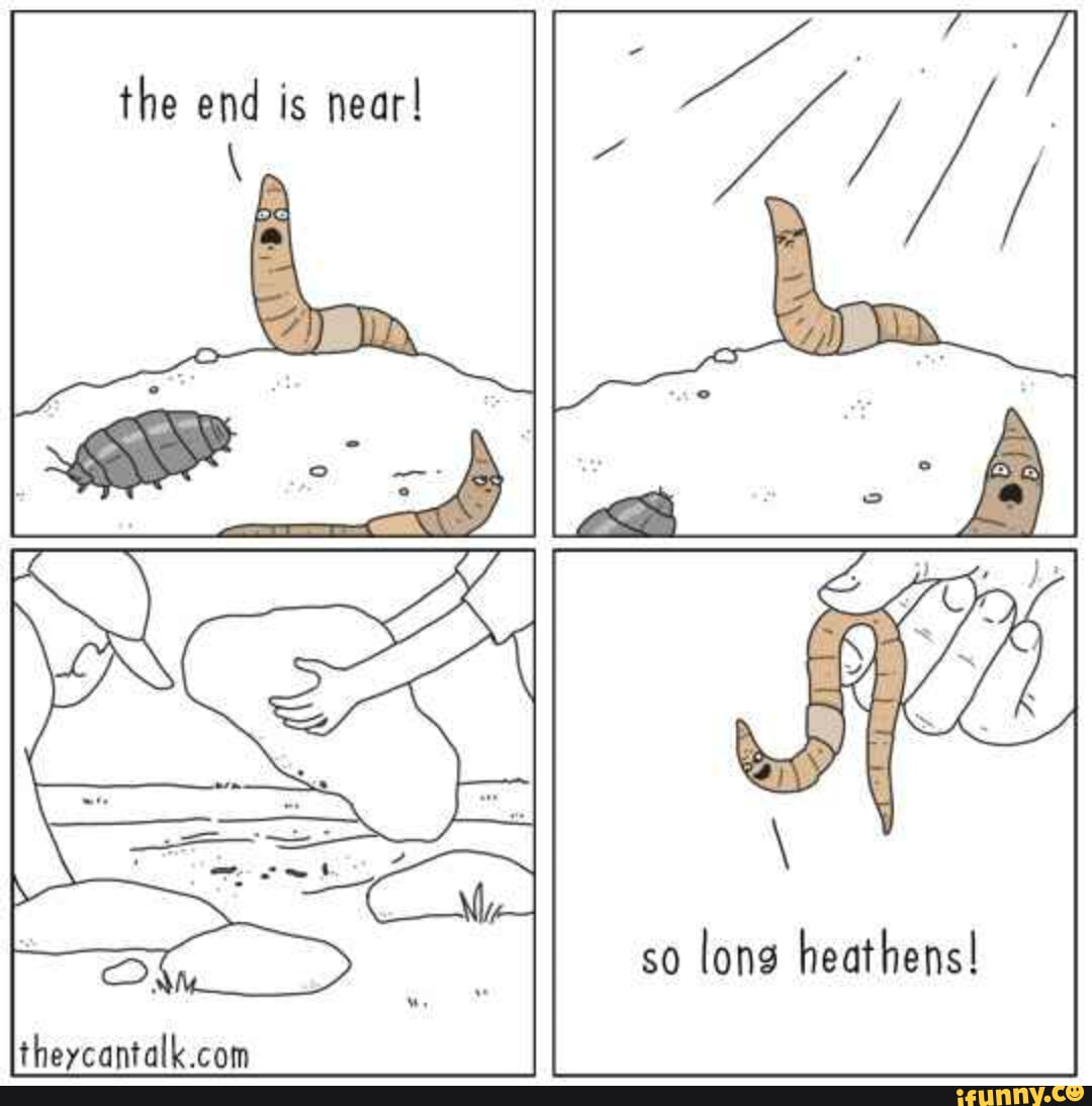 Heathens memes. Best Collection of funny Heathens pictures on iFunny