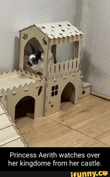 Princess Aerith watches over her kingdome from her castle. - iFunny