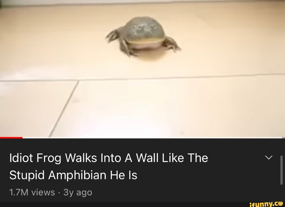 Amphibian memes. Best Collection of funny Amphibian pictures on iFunny