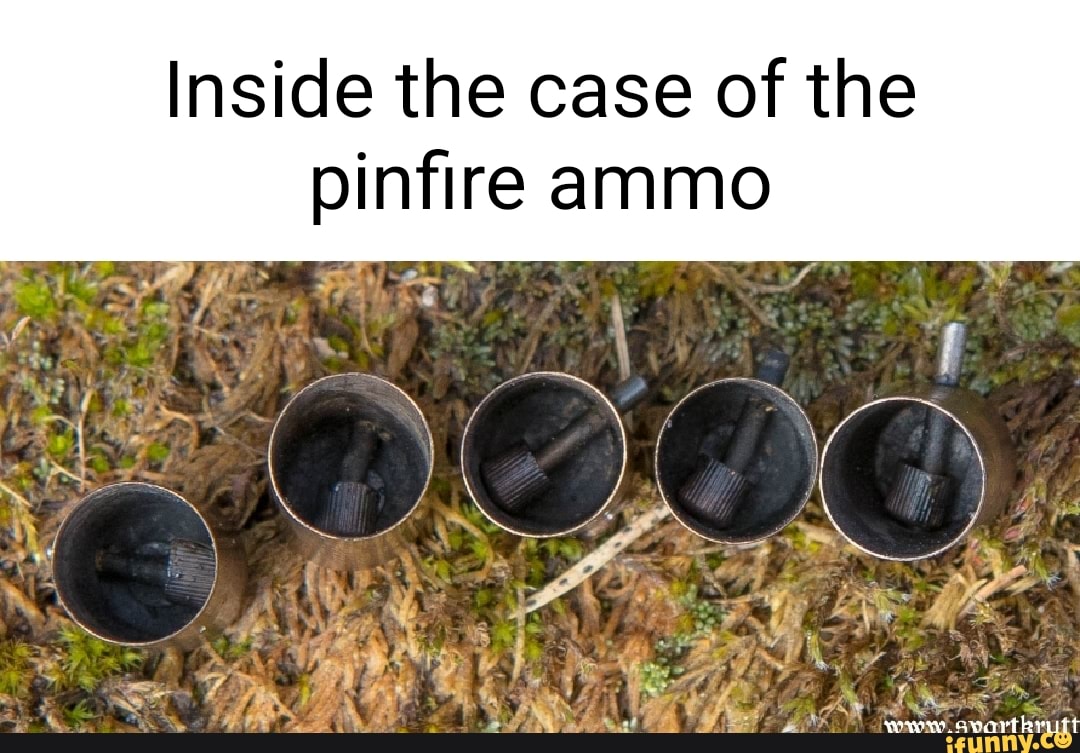 Inside the case of the pinfire ammo - iFunny