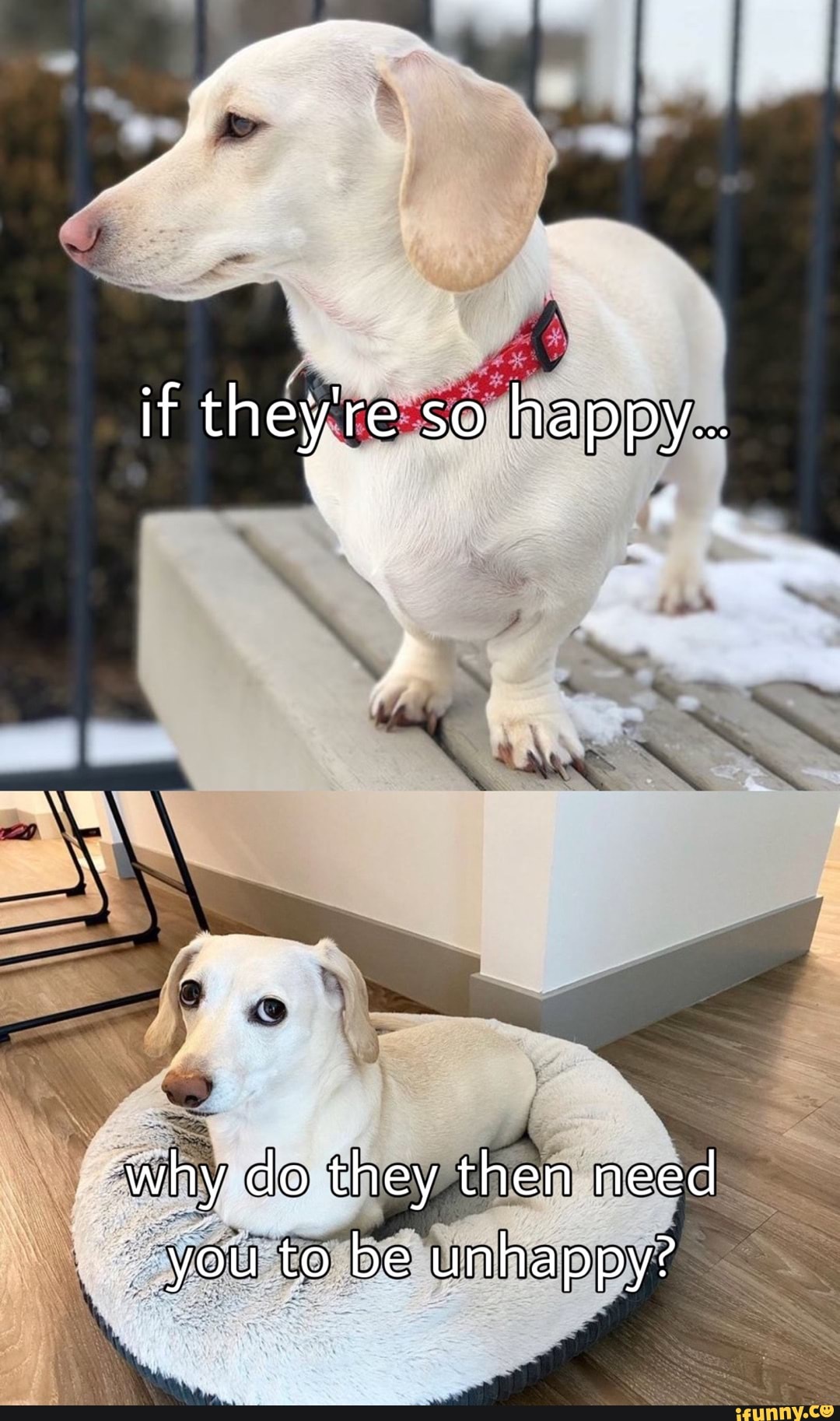 Picture memes o5iySjeQ9 by Libertatis: 1 comment - )