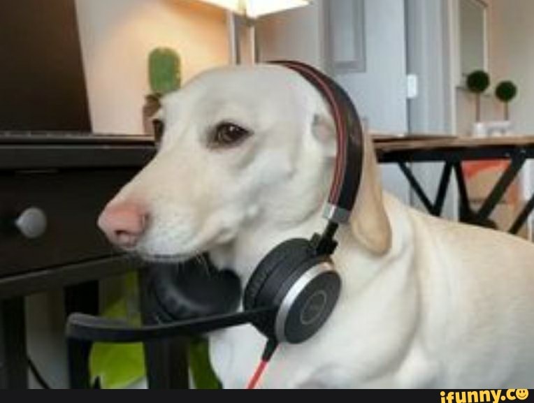 Whitney_chewston memes. Best Collection of funny Whitney_chewston ...