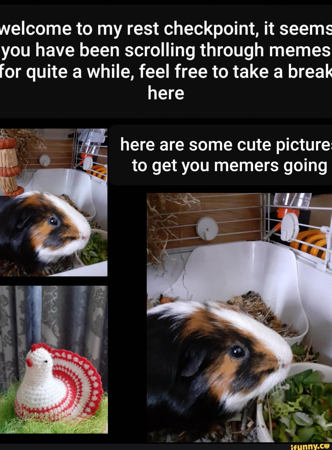 Welcome to my rest checkpoint, it seems you have been scrolling through ...