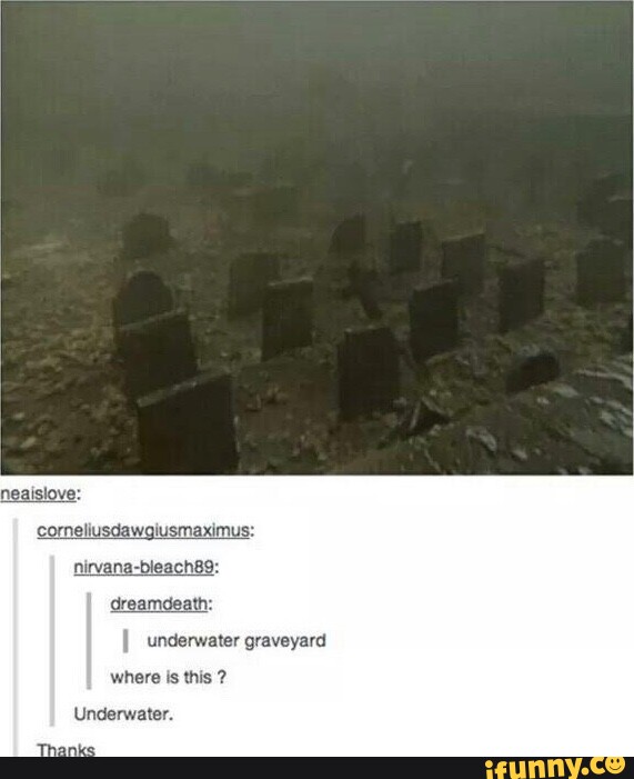 POSITIONS are temporary RANKS and TITLES, are limited. But the way you ...