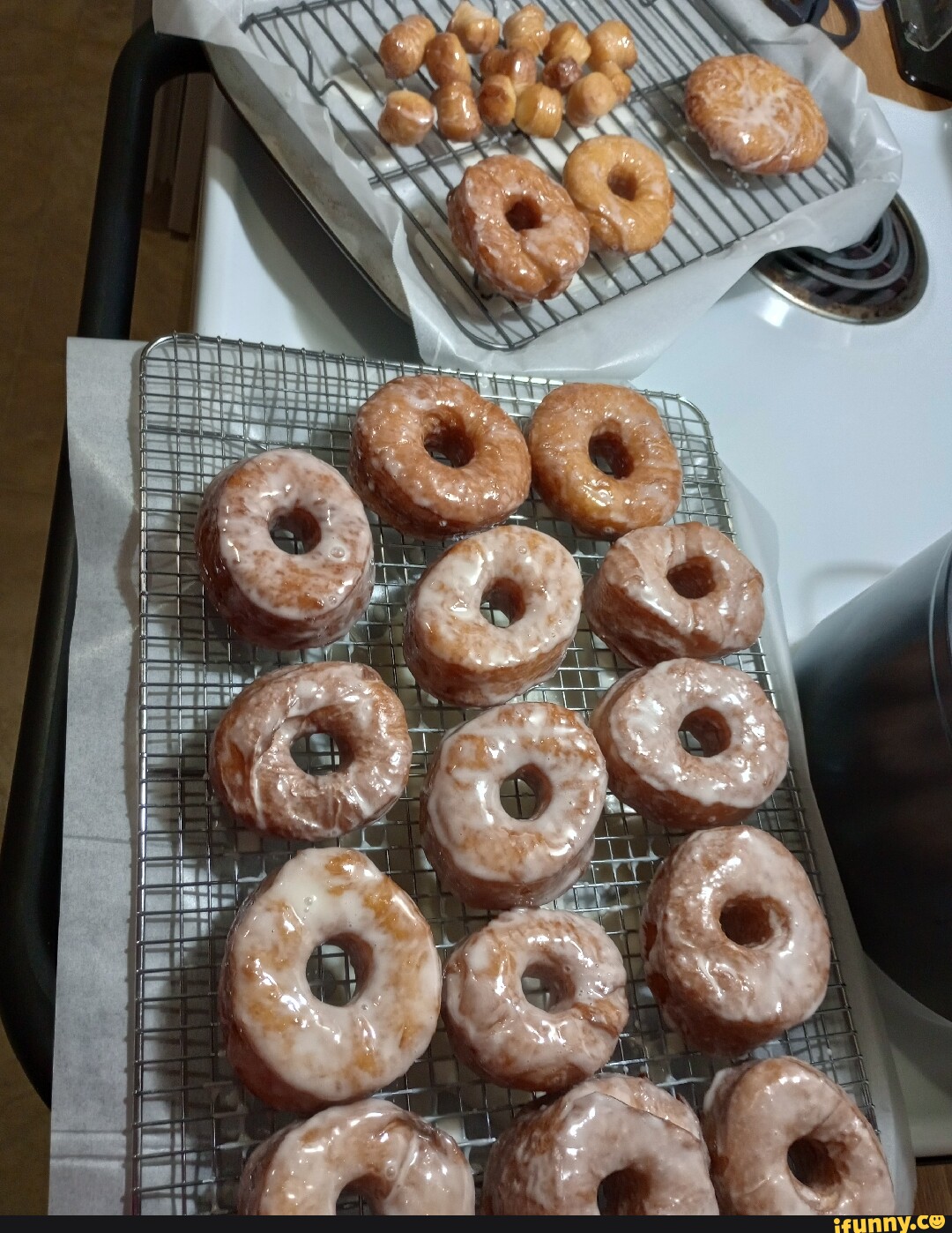 Picture memes ORGJ2d9MA by Echolocation: 3 comments - iFunny