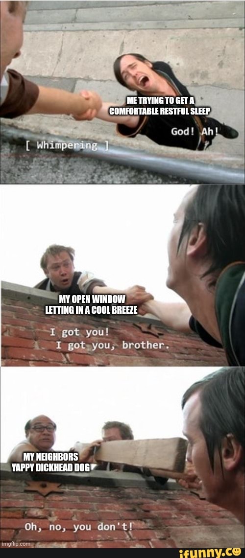 Yappy memes. Best Collection of funny Yappy pictures on iFunny