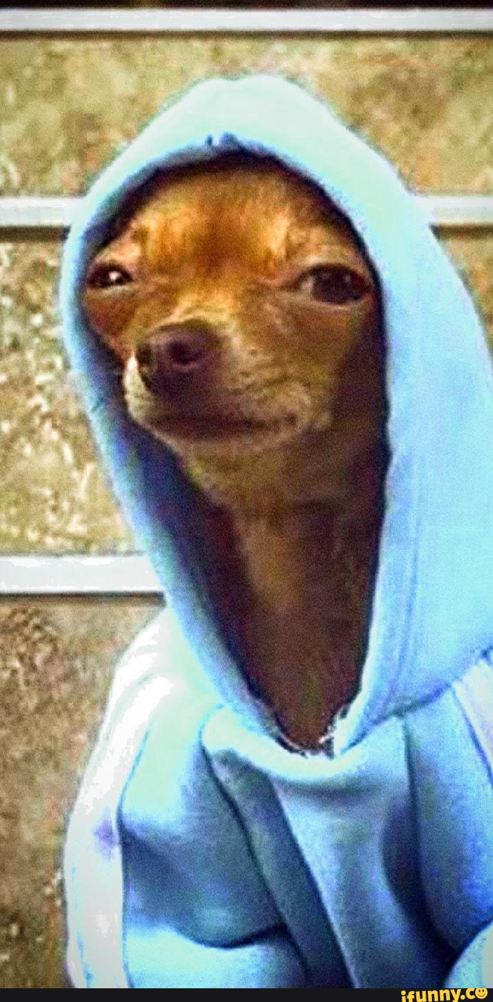 Dahood memes. Best Collection of funny Dahood pictures on iFunny