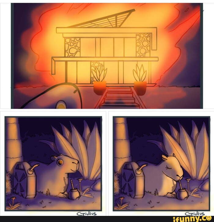 Carpincho memes. Best Collection of funny Carpincho pictures on iFunny