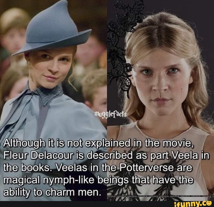 Fleur Delacour Memes Fleur Delacour | Brickipedia | Fandom
