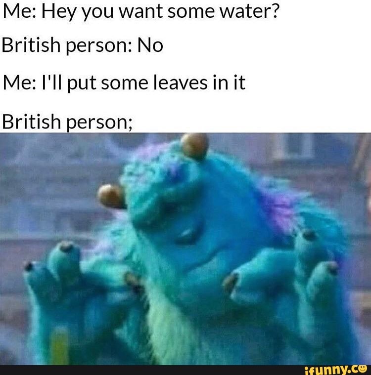 Me: Hey you want some water? British person: No Me: I'll put some ...