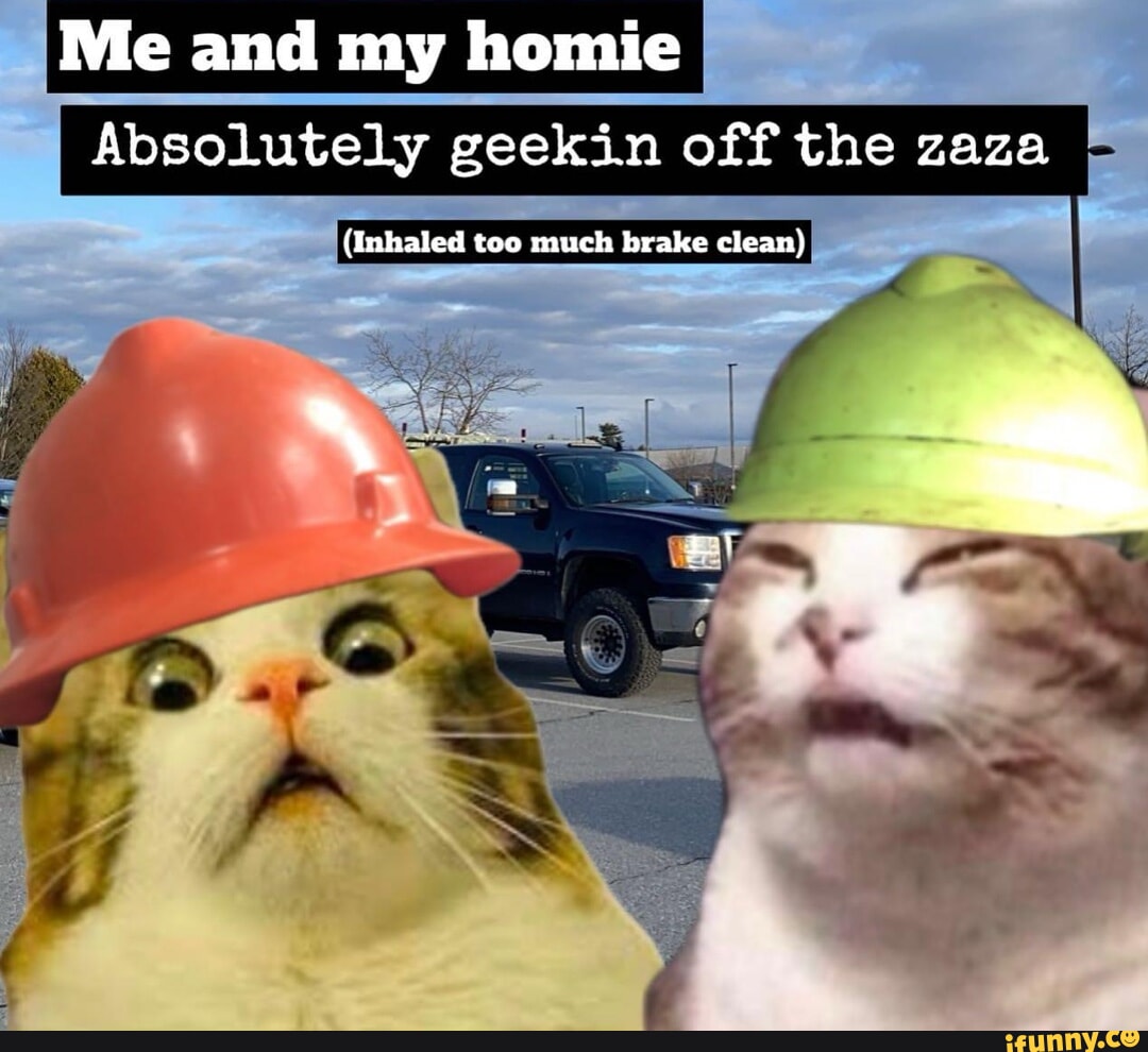 Me and my homie I Absolutely geekin off the zaza (Inhaled too much ...