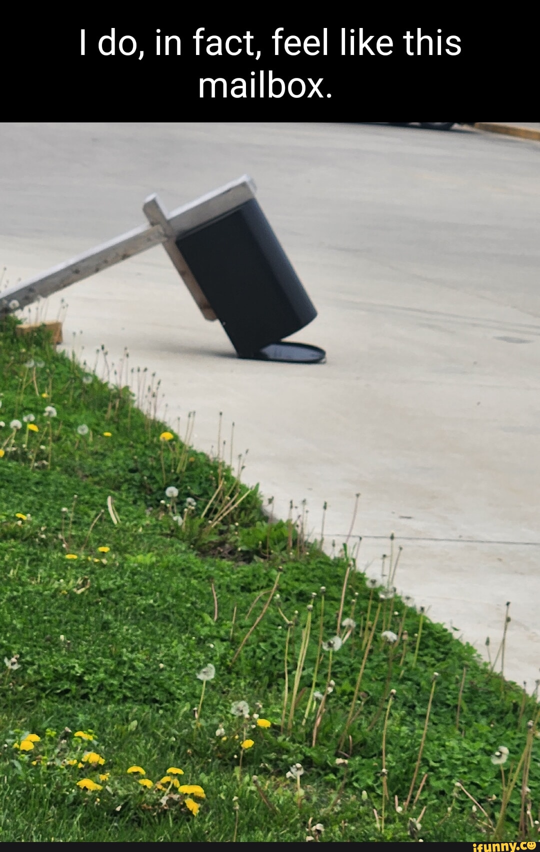 Mailbox memes. Best Collection of funny Mailbox pictures on iFunny