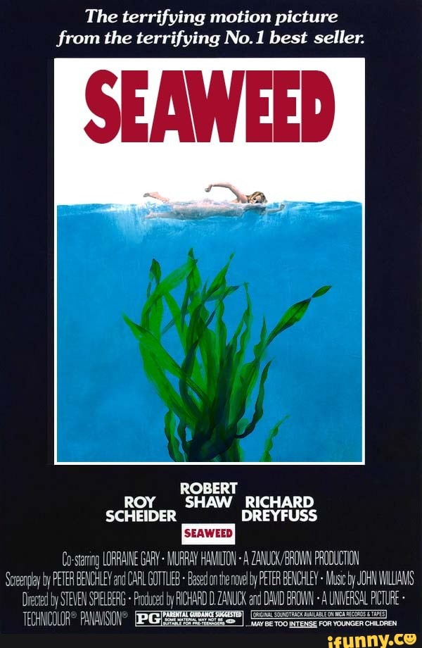 Scheider memes. Best Collection of funny Scheider pictures on iFunny