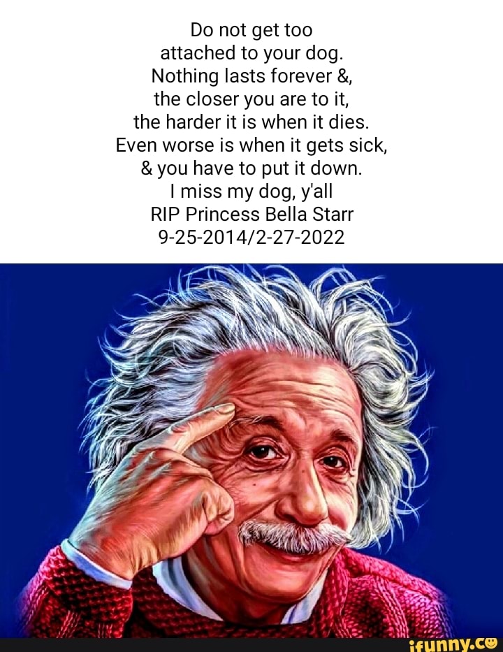 Dpg memes. Best Collection of funny Dpg pictures on iFunny