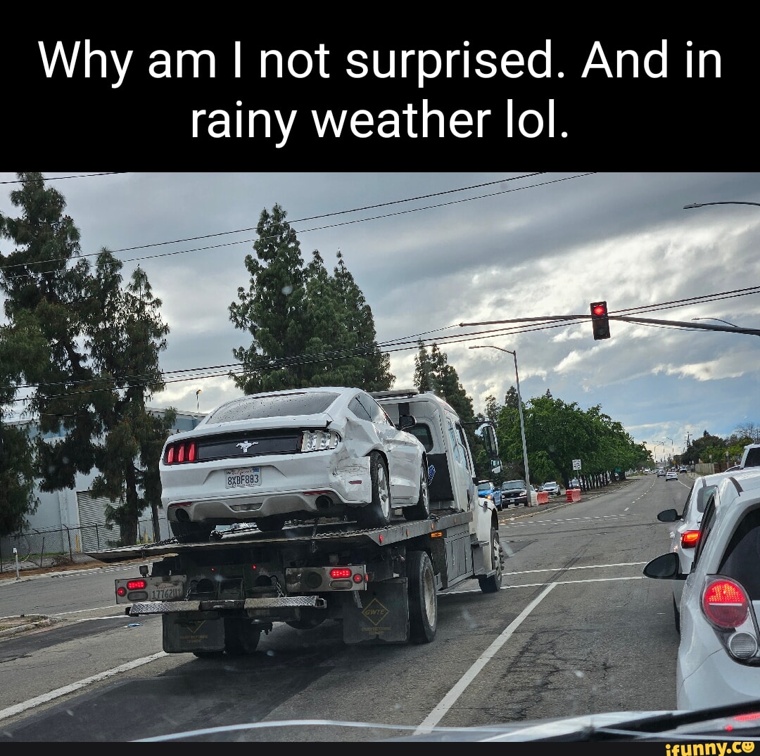 Rainy memes. Best Collection of funny Rainy pictures on iFunny