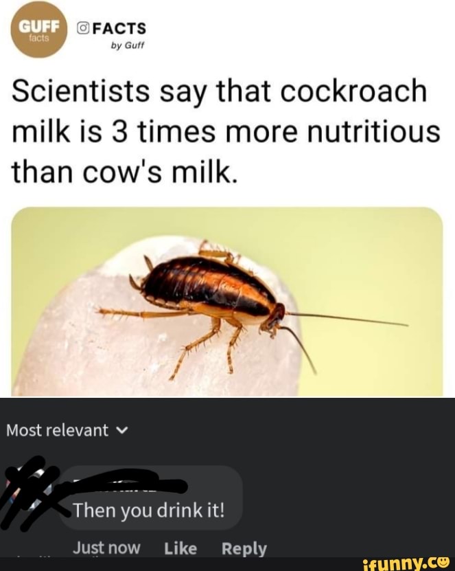 FACTS by Guff Scientists say that cockroach milk is 3 times more ...