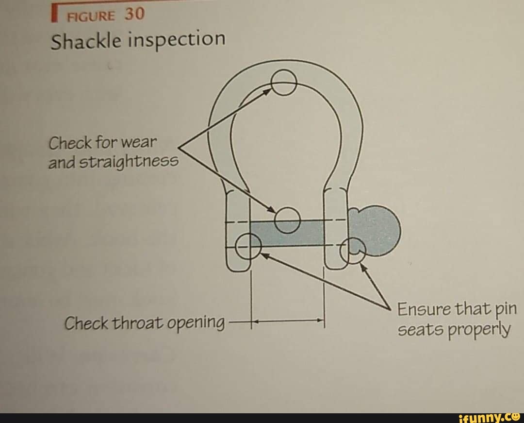 Shackle memes. Best Collection of funny Shackle pictures on iFunny