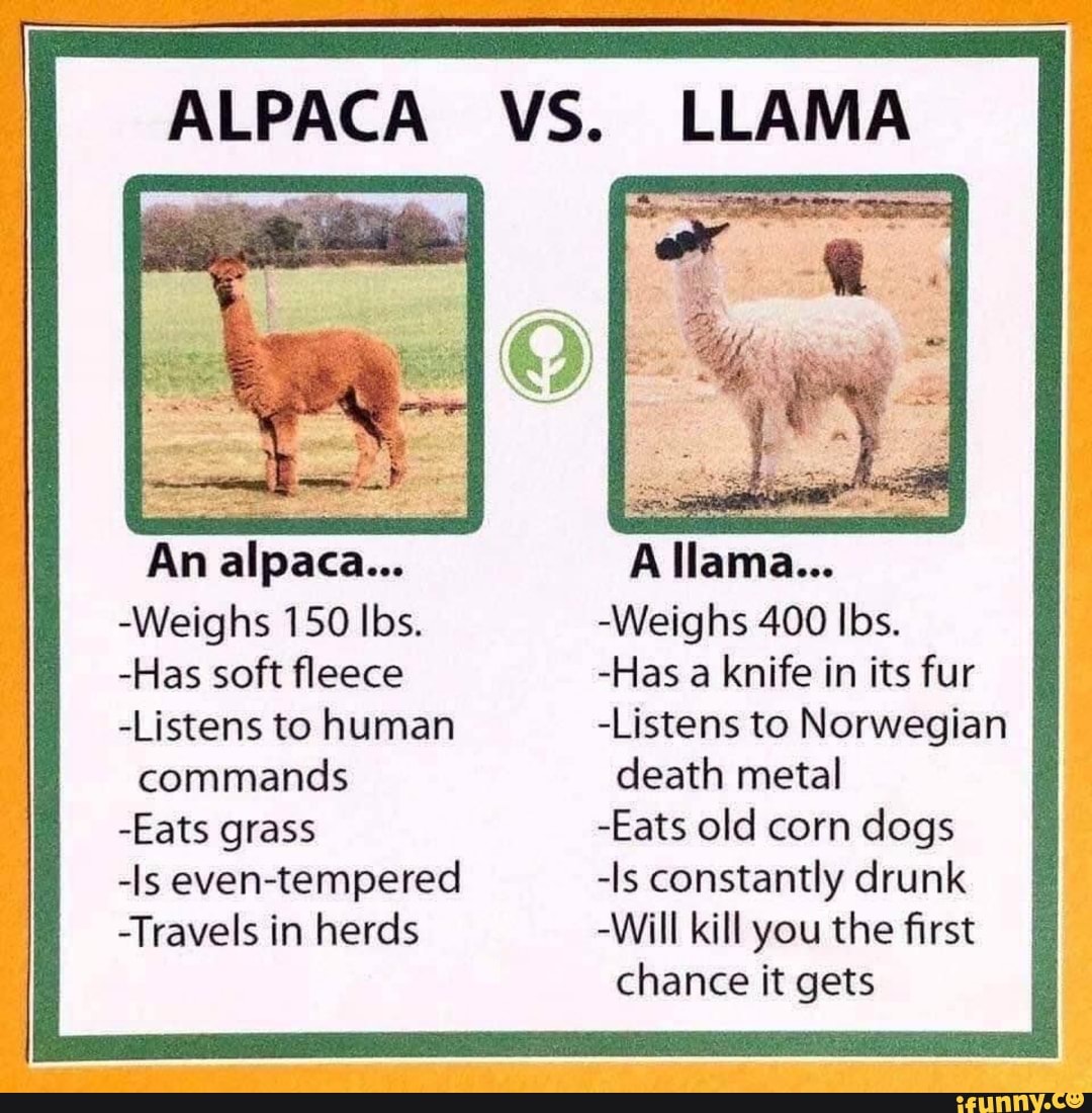 Human Llama