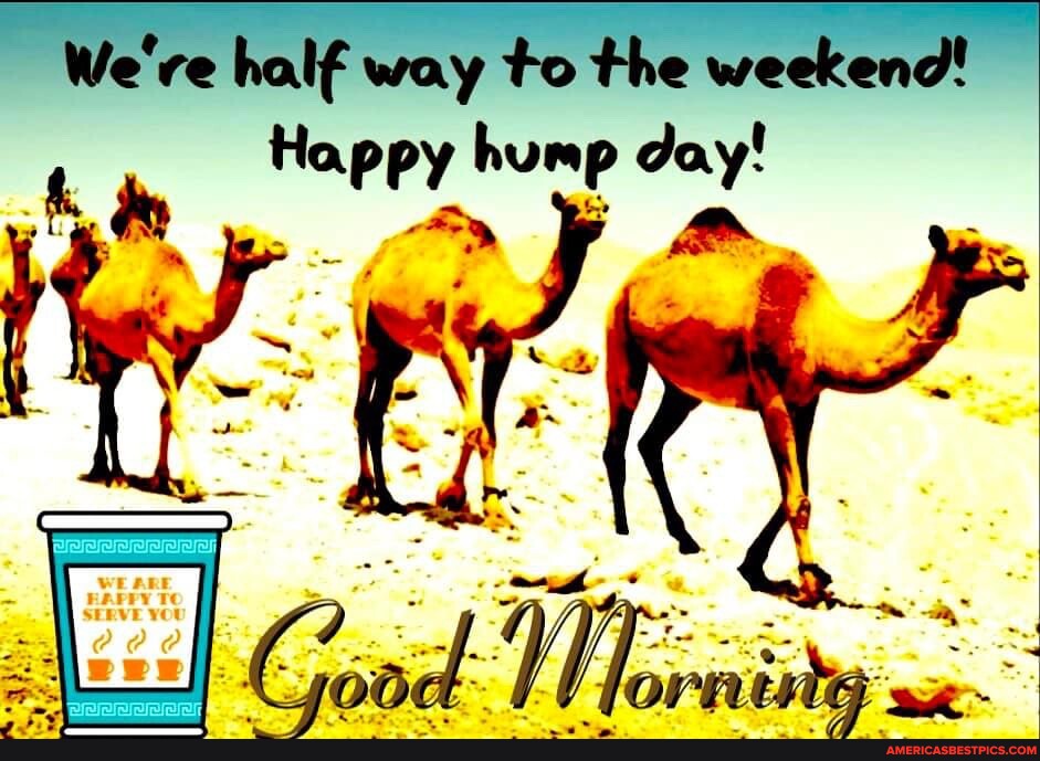We're half way to the weekend! Happy hump day! he - America’s best pics ...
