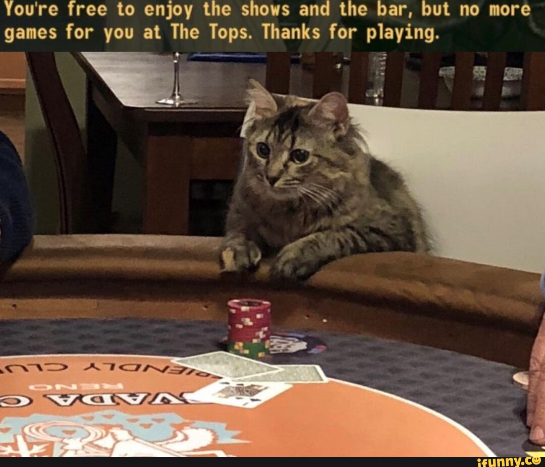 You're free to enjoy the shows and the bar, but no more games for you ...