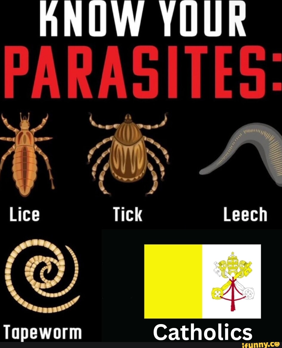 Tapeworm memes. Best Collection of funny Tapeworm pictures on iFunny