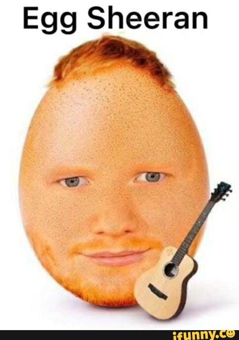 Eggsperiance memes. Best Collection of funny Eggsperiance pictures on ...