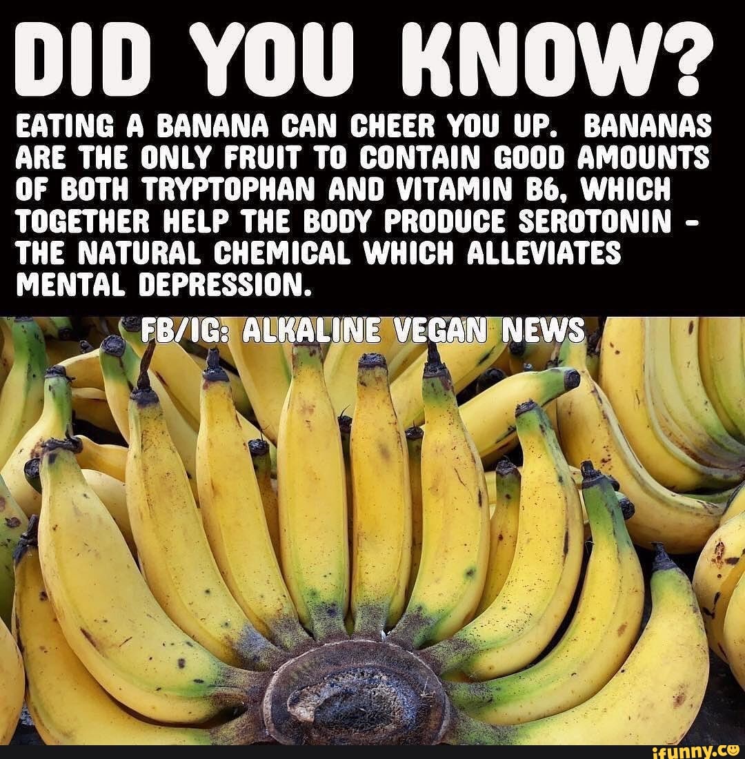 DID YOU KNOW? EATING A BANANA CAN CHEER YOU UP. BANANAS ARE THE ONLY ...