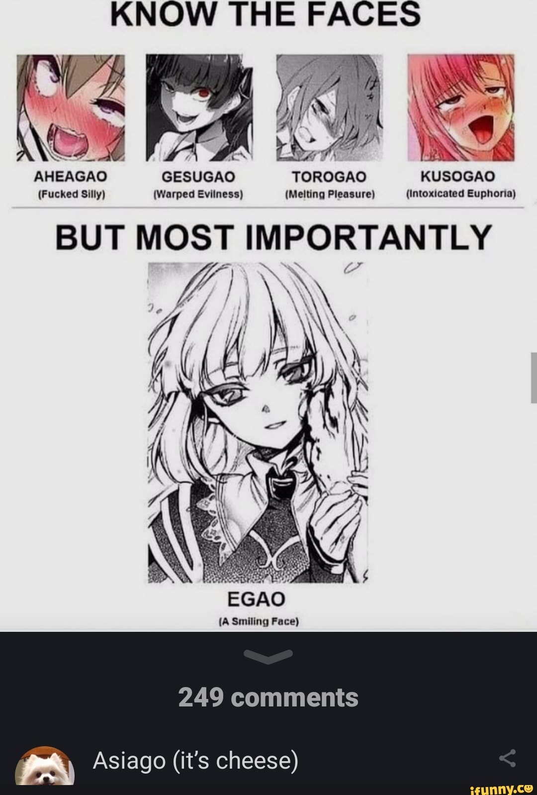 KNOW THE FACES AHEAGAO GESUGAO KUSOGAO (Fucked Silly) (Warped Evilness ...