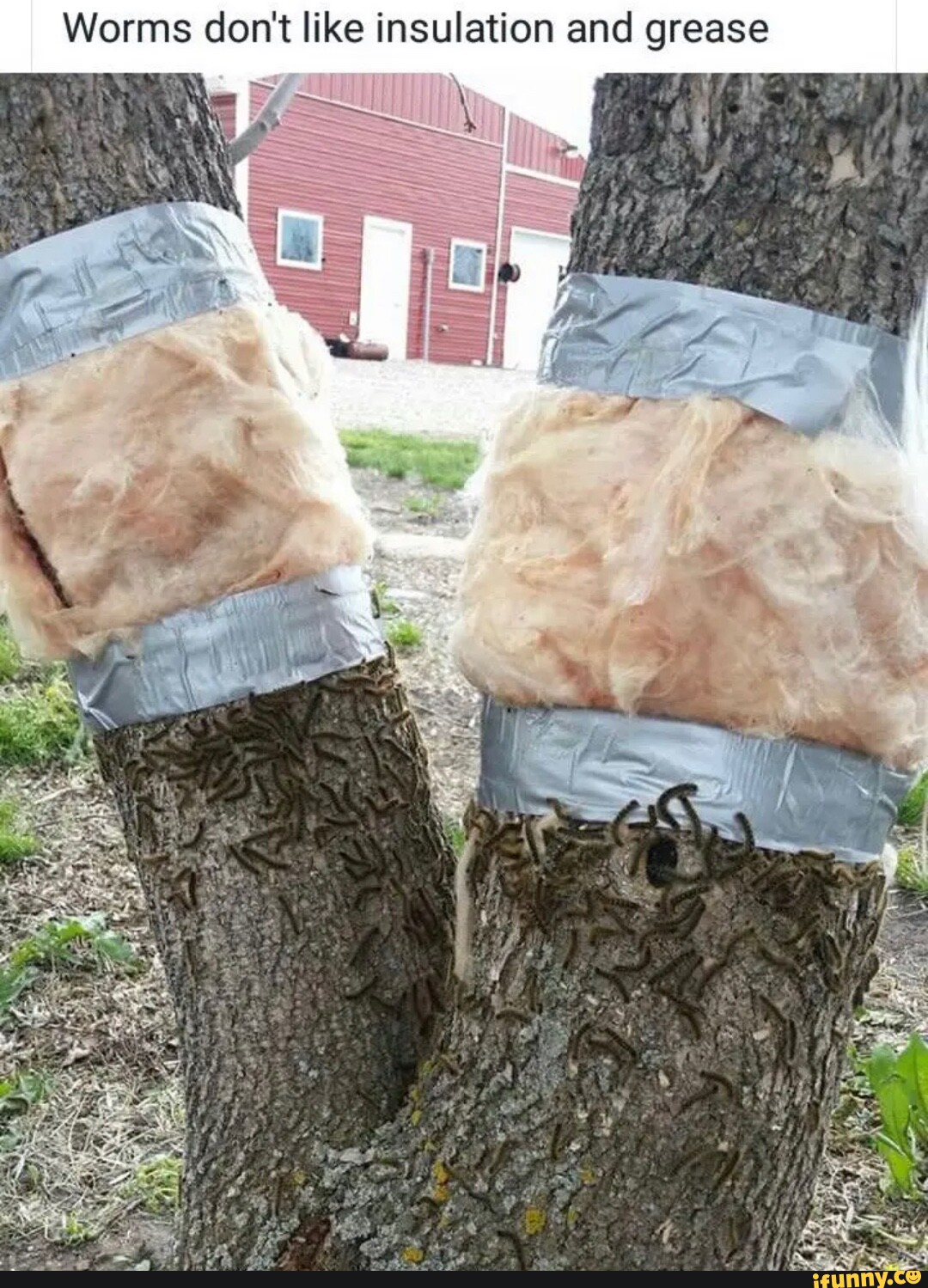 Worms don't like insulation and grease - iFunny