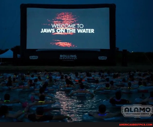 Who would you do this with movies memes scary summer comedy - JAWS ON ...