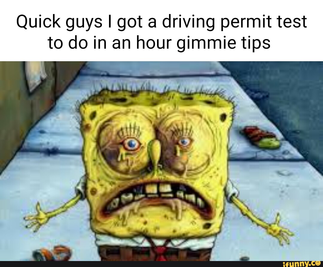 Permit memes. Best Collection of funny Permit pictures on iFunny