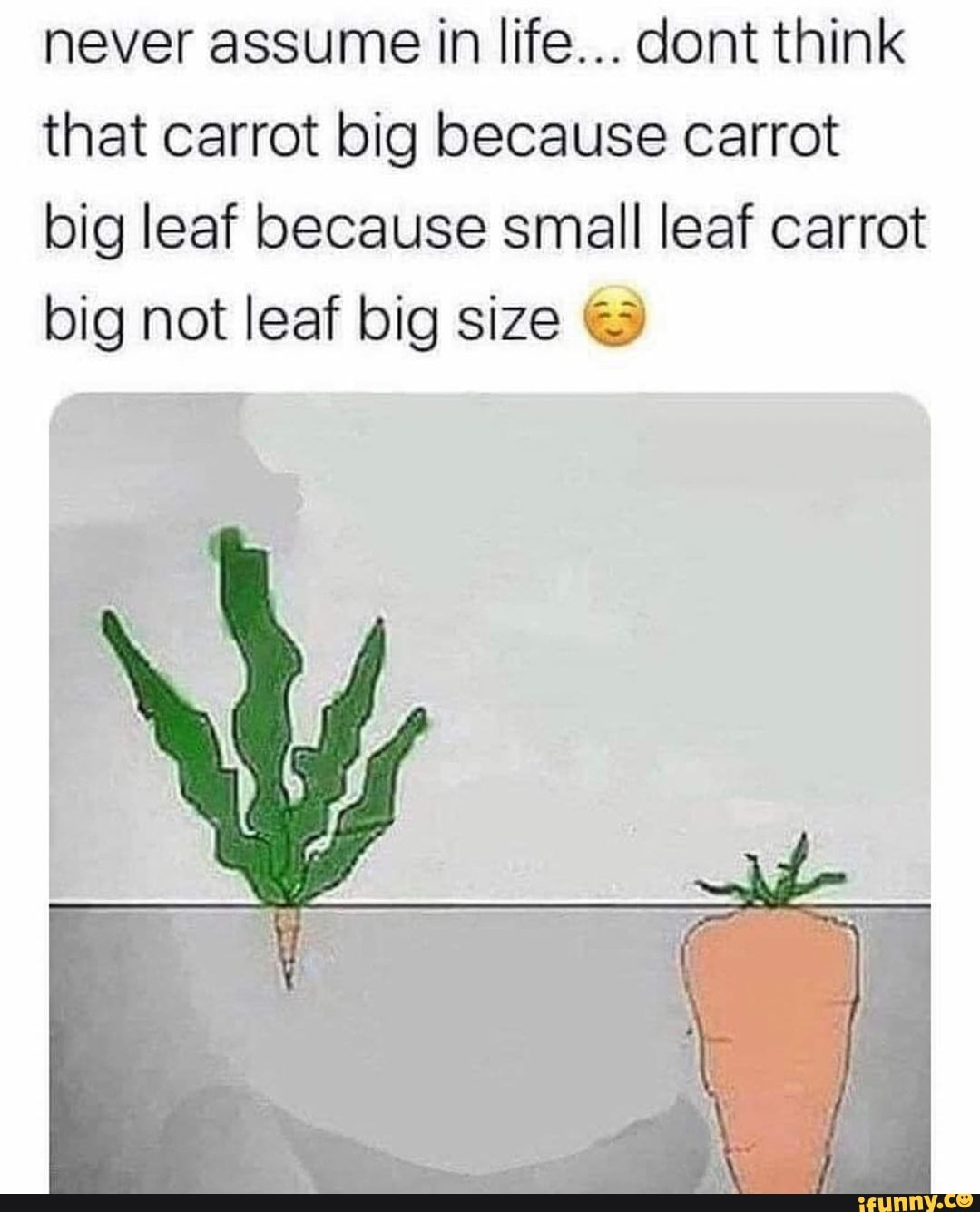 Never assume in life... dont think that carrot big because carrot big ...