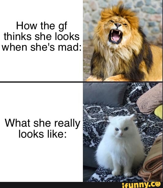 STANDARDIZED EYE TEST If you see these bananas as: YELLOW: You are ...