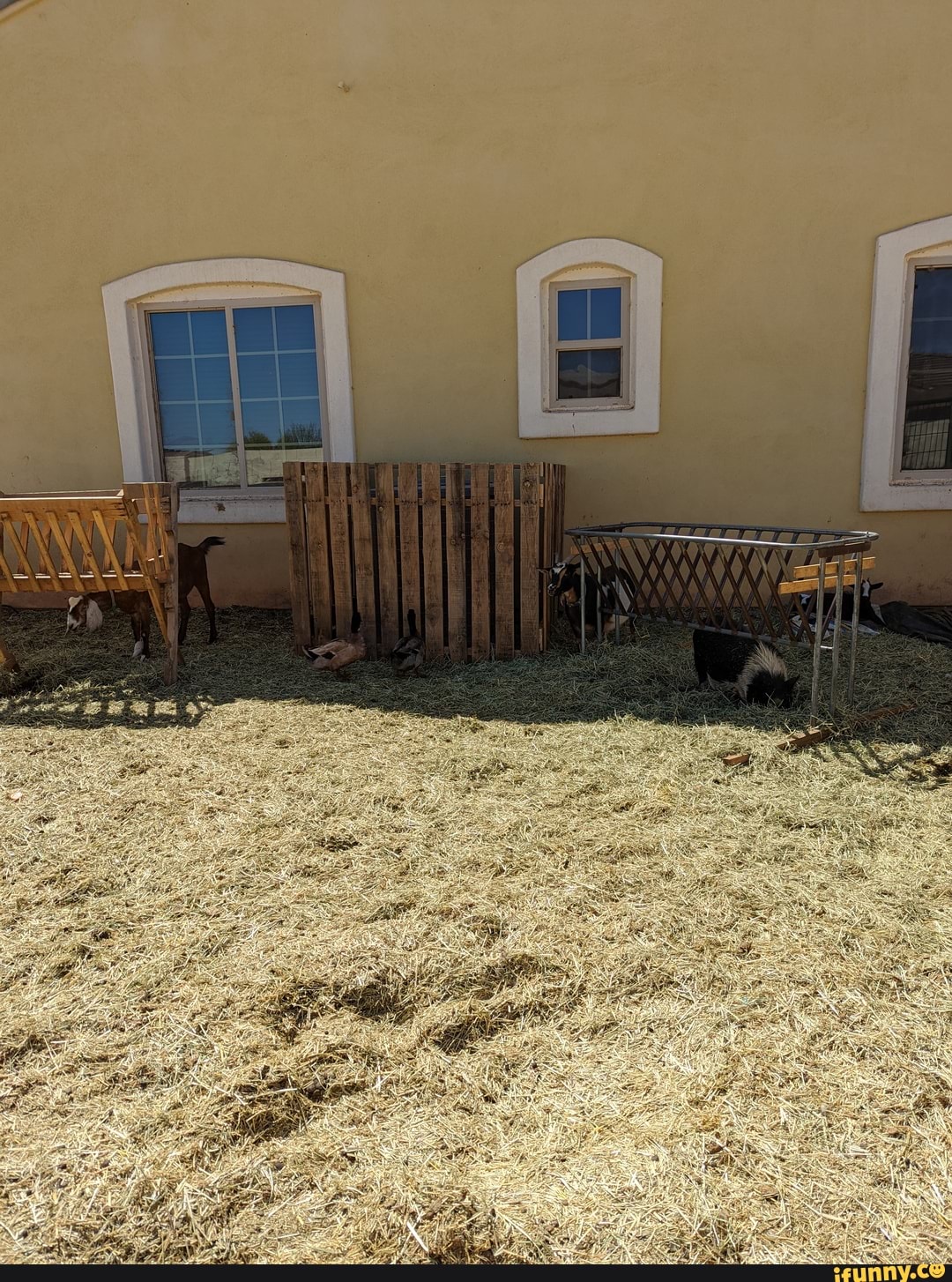 Pallets_ideas memes. Best Collection of funny Pallets_ideas pictures on ...