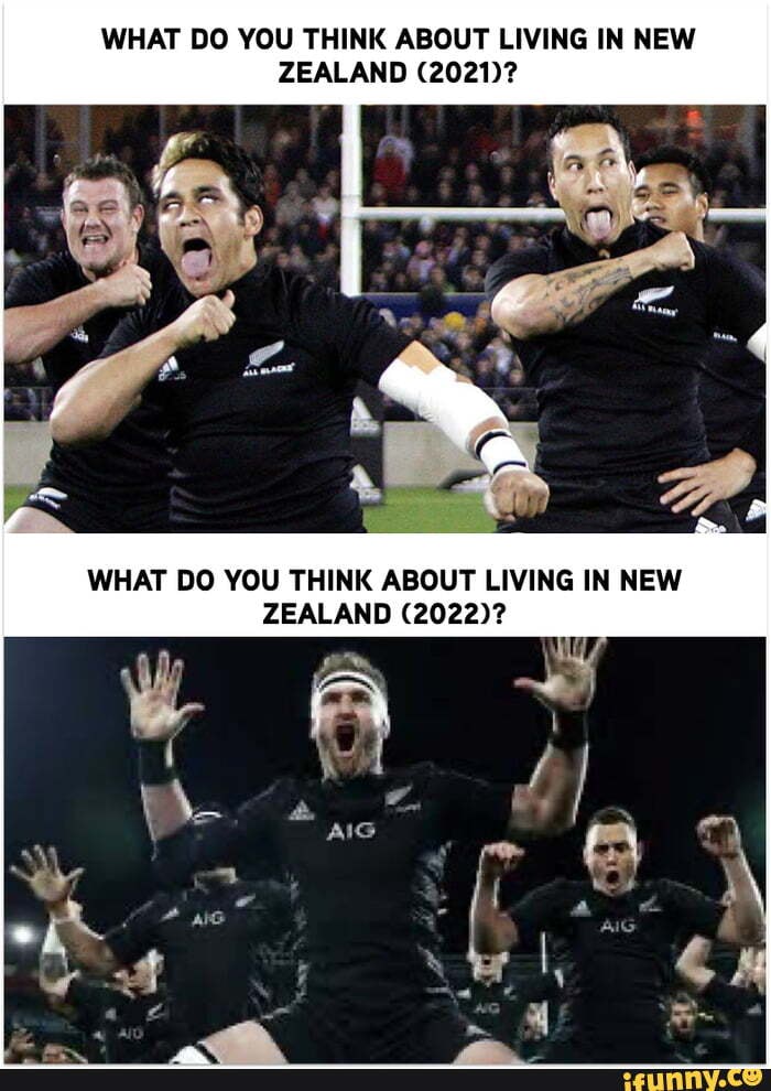 New_zealand memes. Best Collection of funny New_zealand pictures on iFunny