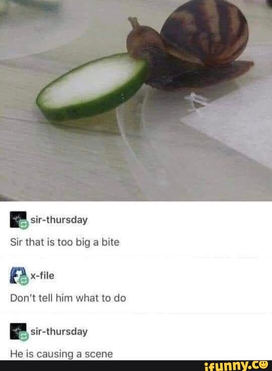 BB sir-thursday Sir that is too big a bite Don't tell him what to do ...