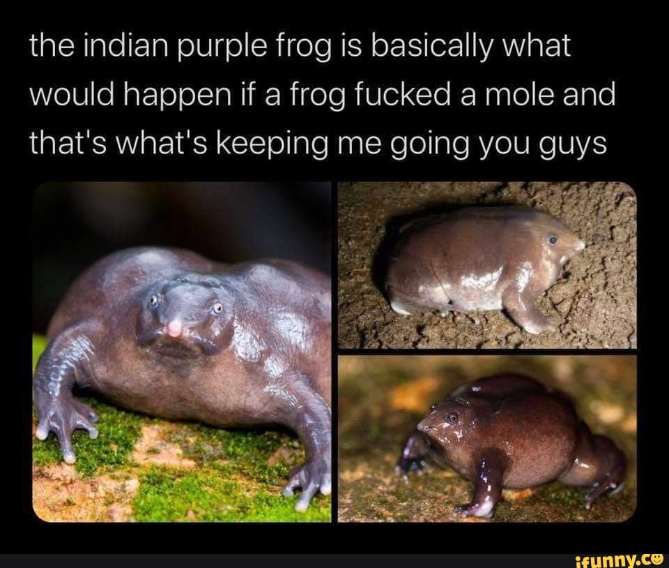 Edgy memes memes. The best memes on iFunny