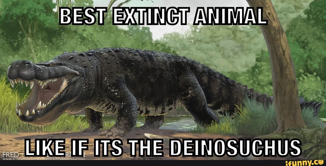 Deinosuchus memes. Best Collection of funny Deinosuchus pictures on iFunny