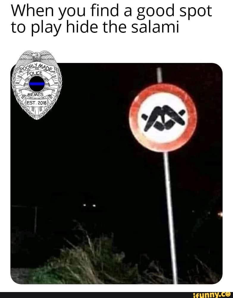 When you find good spot to play hide the salami - iFunny