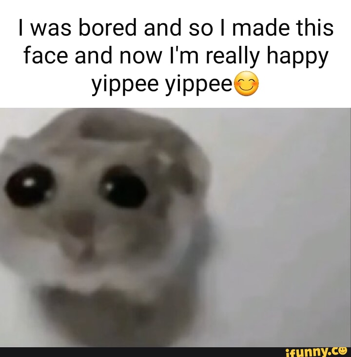 Yippee memes. Best Collection of funny Yippee pictures on iFunny