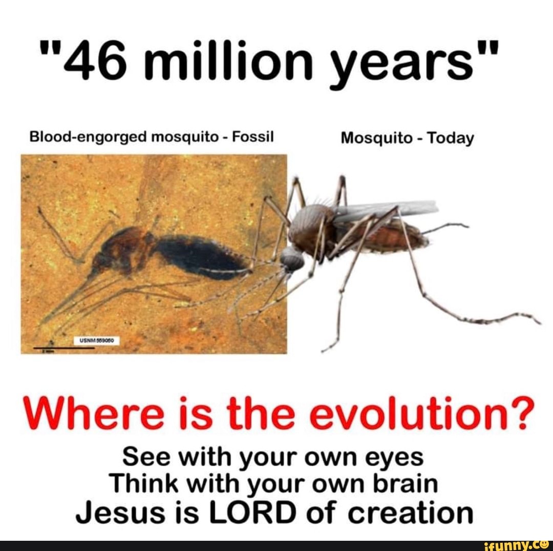 Engorged memes. Best Collection of funny Engorged pictures on iFunny