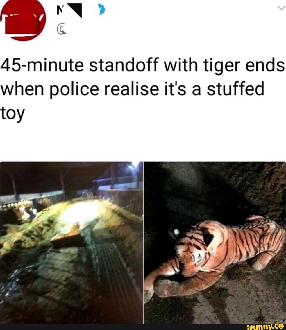 45-minute standoff with tiger ends when police realise it's a stuffed ...