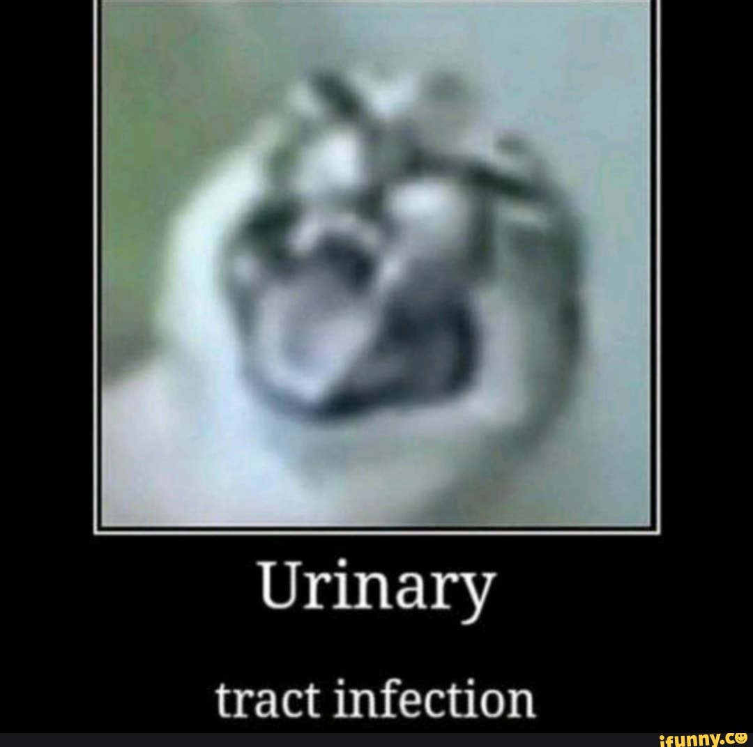 Urinary memes. Best Collection of funny Urinary pictures on iFunny