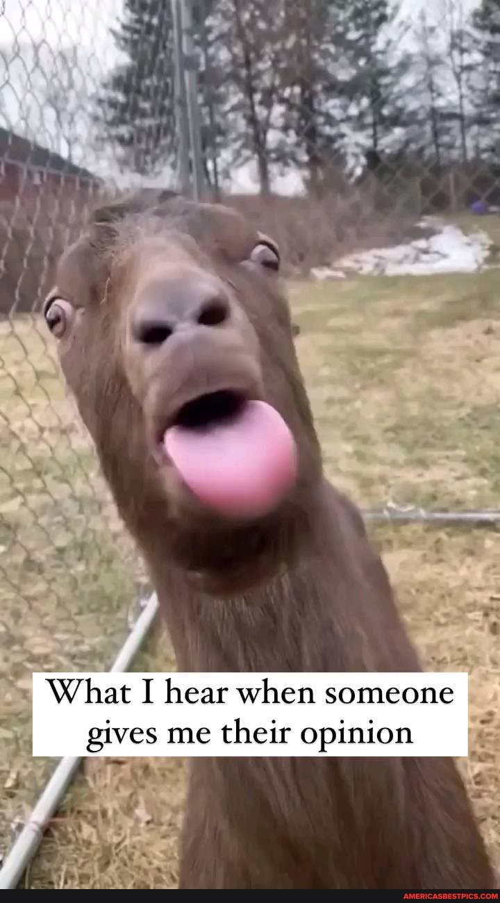 Loool 😂 Follow @wholesomebeeches for everyday memes! . . #memes #meme # ...